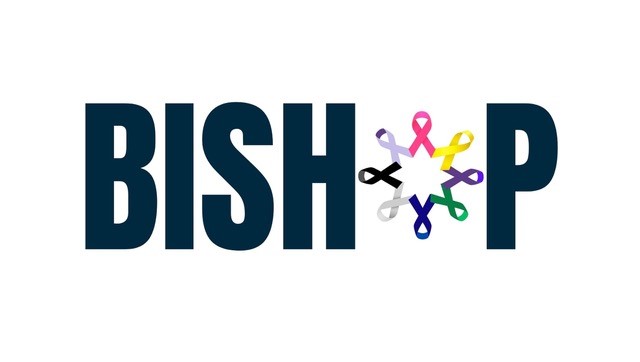 BMCHS Cancer Awareness - Pinwheel Fundraiser